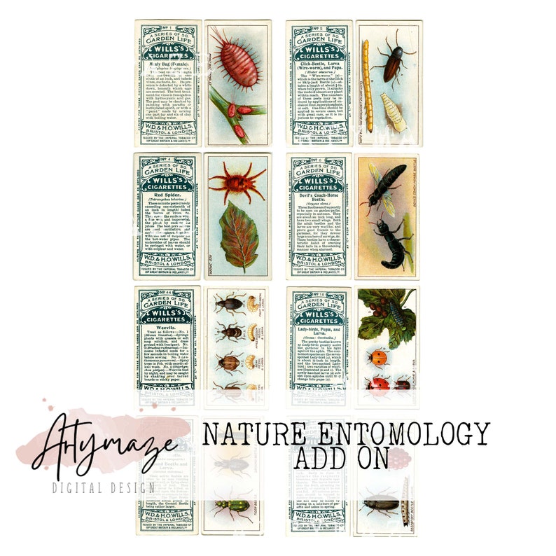 NATURE & ENTOMOLOGY Add on Journal Kit - Etsy