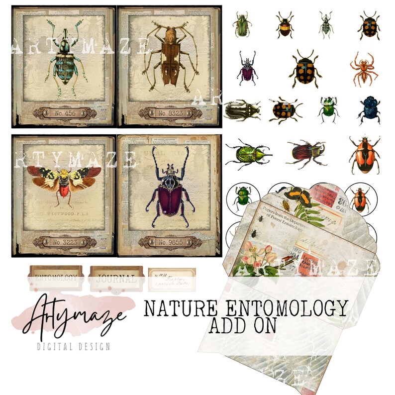 NATURE & ENTOMOLOGY Add on Journal Kit - Etsy