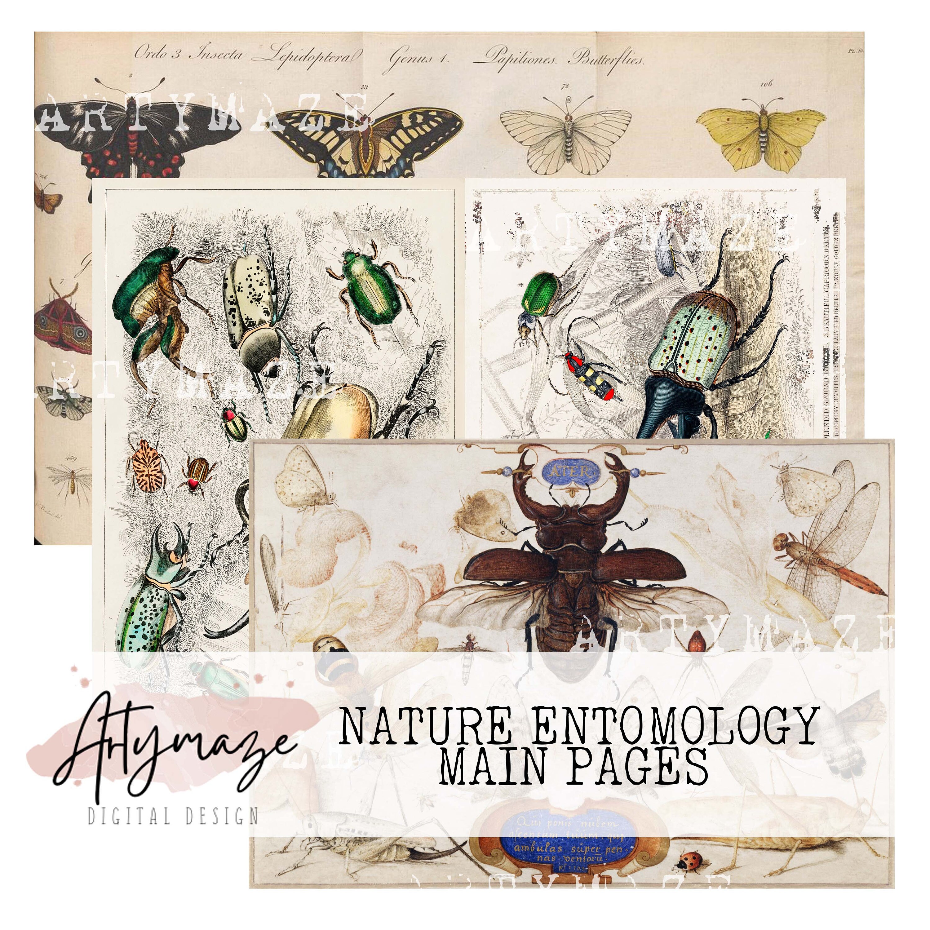 NATURE & ENTOMOLOGY Printable Journal Pages PLUS Bonus - Etsy UK