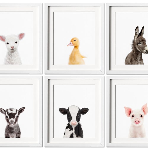 Set of 4 Baby Farm Animals for Nursery Farm Animals Wall Art - Etsy
