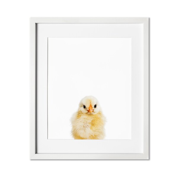 Chick Print - Etsy