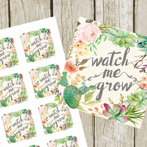 EDITABLE PDF Pink Watch Me Grow Tags Girl Baby Shower Favor - Etsy