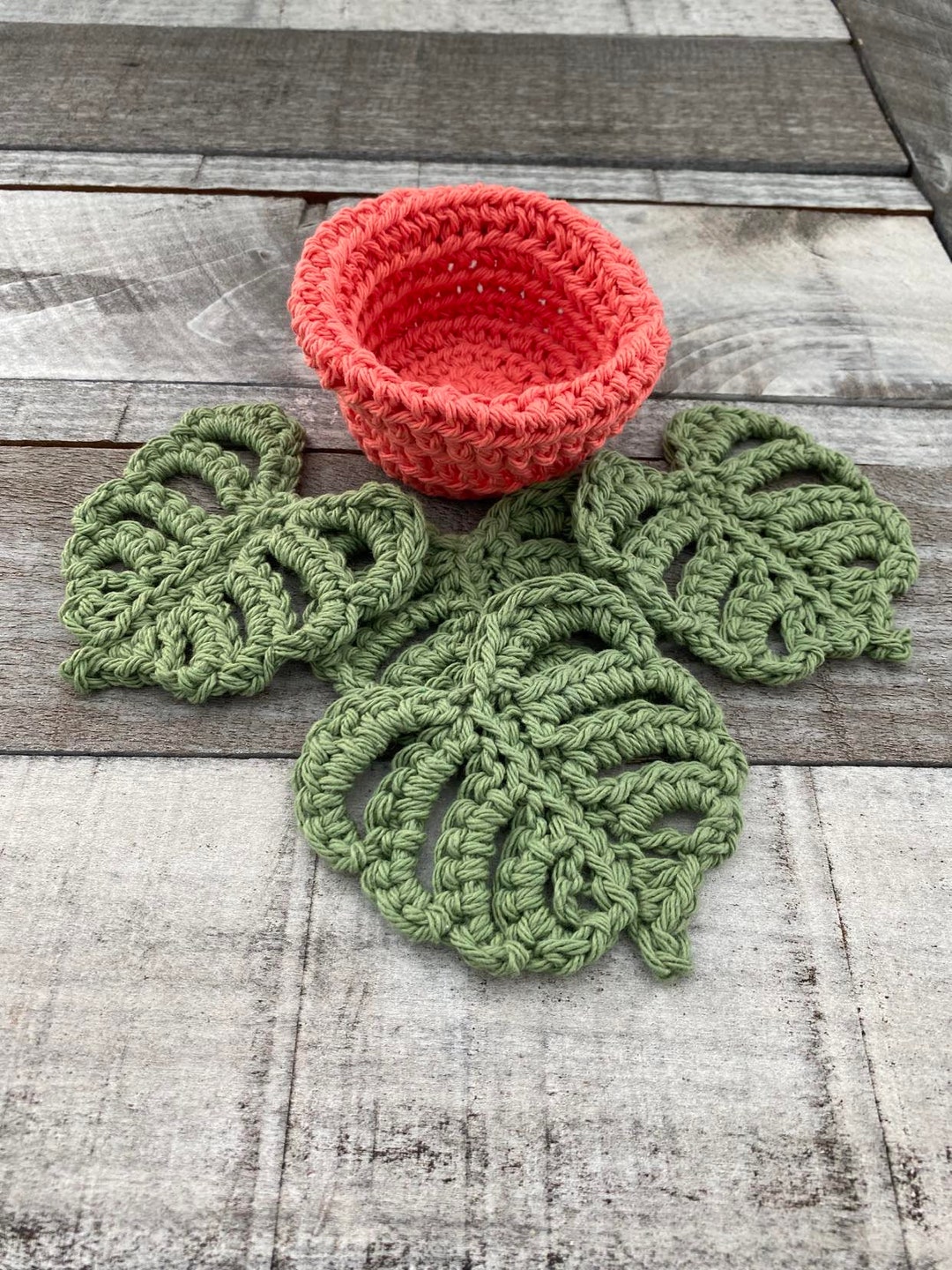 Succulent Plant Coasters, Monstera Leaf Coasters, Plant Pot Coasters ...