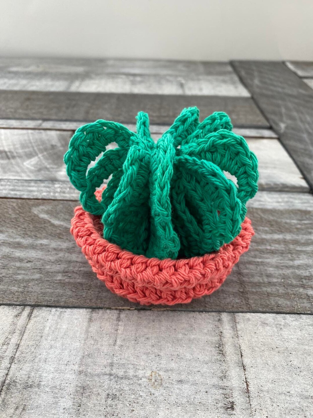 Crochet Succulent Plant Coasters, Succulent Leaf Coasters, Monstera ...