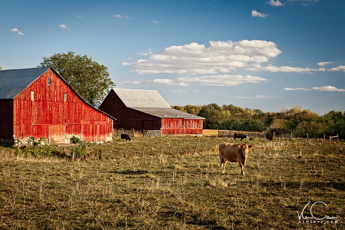 Red Barn, Barn Photo, Barn Wall Art, Farmhouse Decor, Barn Picture ...