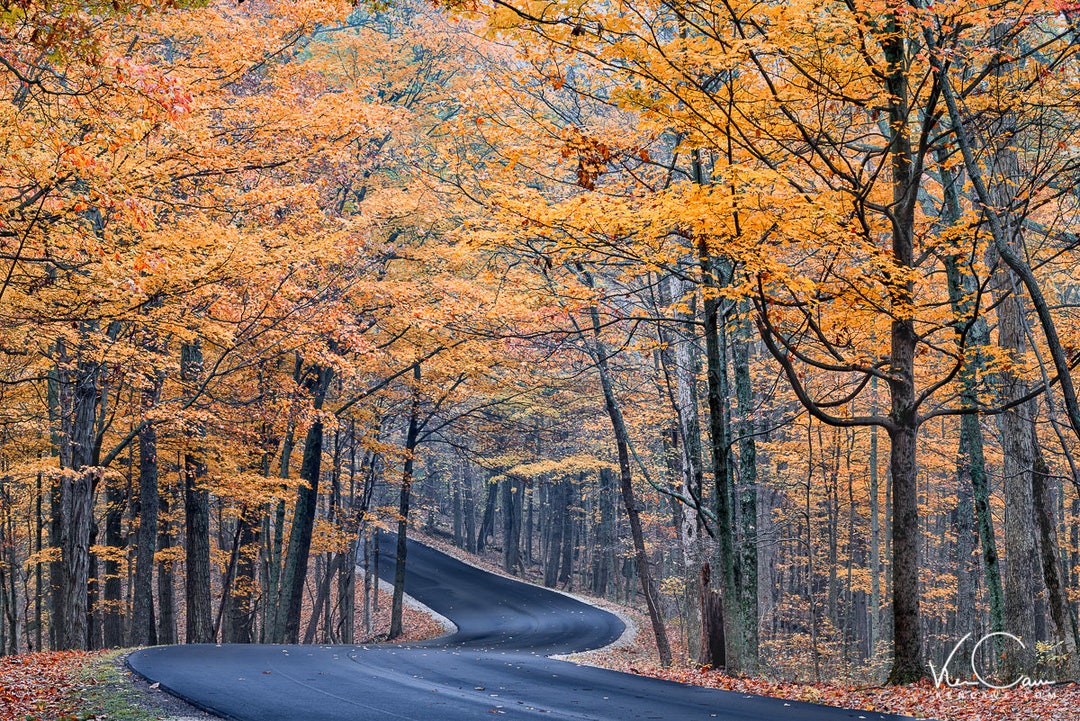 Country Road, Autumn Landscape, Fall Colors, Autumn Trees, Country ...