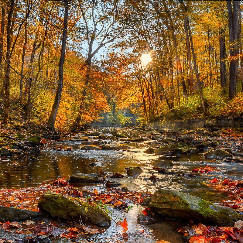 Fall Wall Art - Etsy