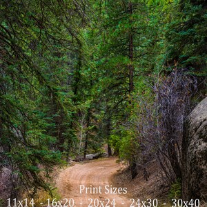 Colorado Landscape Colorado Photo Tree Art Fine Art Print - Etsy Canada