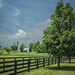 Lexington, Barn, Farm Photo, Lexington Kentucky, Lexington Print ...