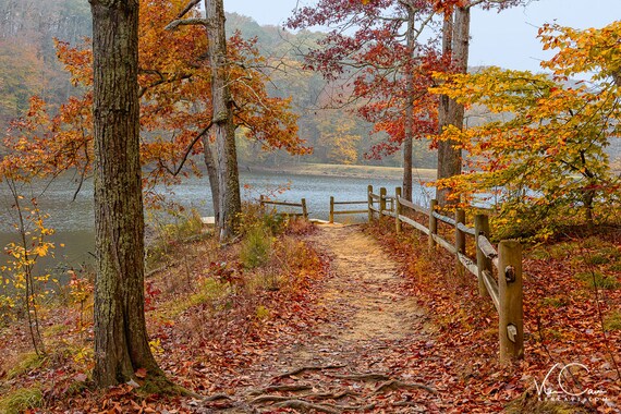 Fall Landscape
