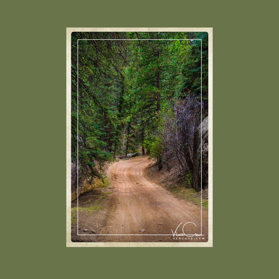 Colorado Landscape Colorado Photo Tree Art Fine Art Print - Etsy Canada