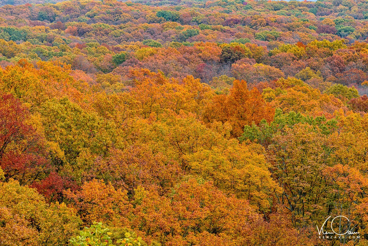 Autumn Landscape, Fall Landscape, Farmhouse Decor, Farmhouse Photo ...