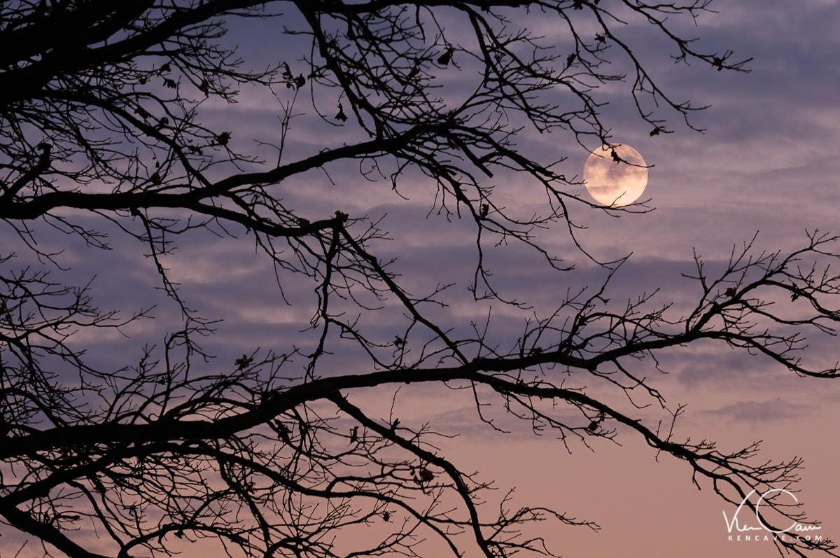 Full Moon Moon Art Print Moon Moon Print Moon Wall Decor - Etsy