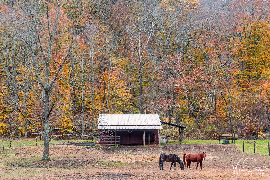 Rustic Farmhouse Art, Autumn Landscape, Fall Landscape, Farmhouse Decor ...
