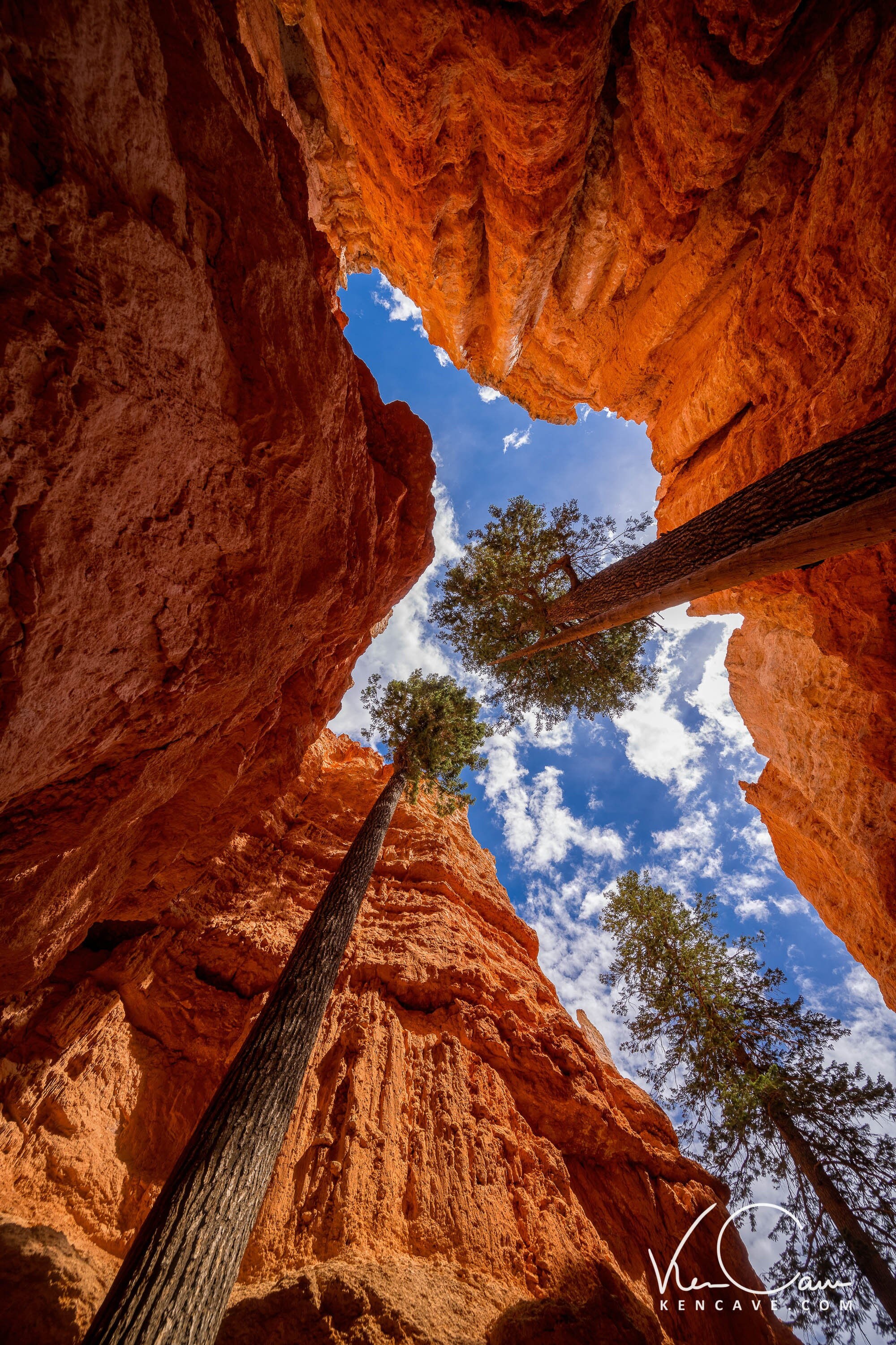 National Parks, Bryce Canyon, Travel Photo, Canvas Print, Home Decor ...