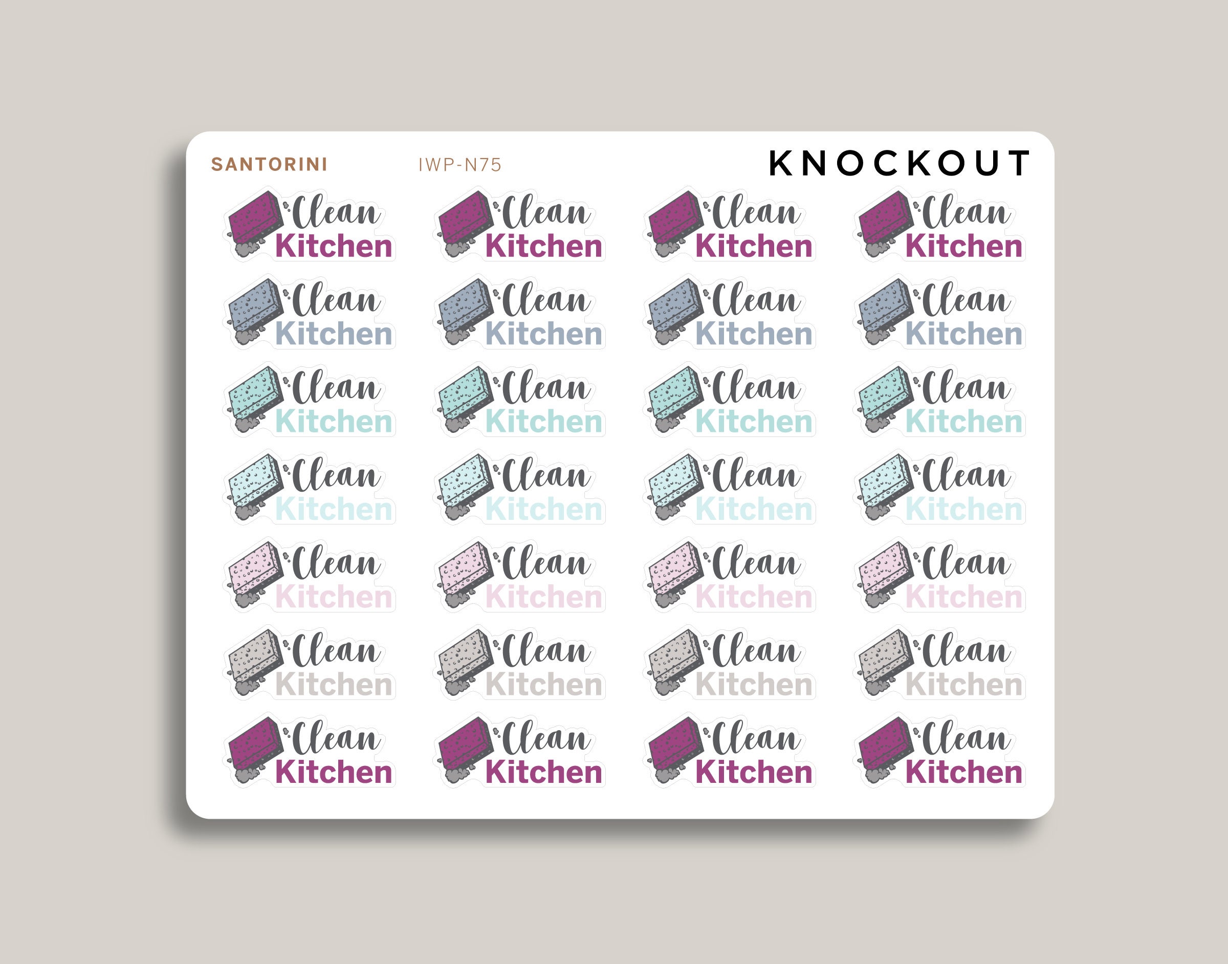 Clean Kitchen Icon Planner Stickers for 2021 inkWELL Press | Etsy