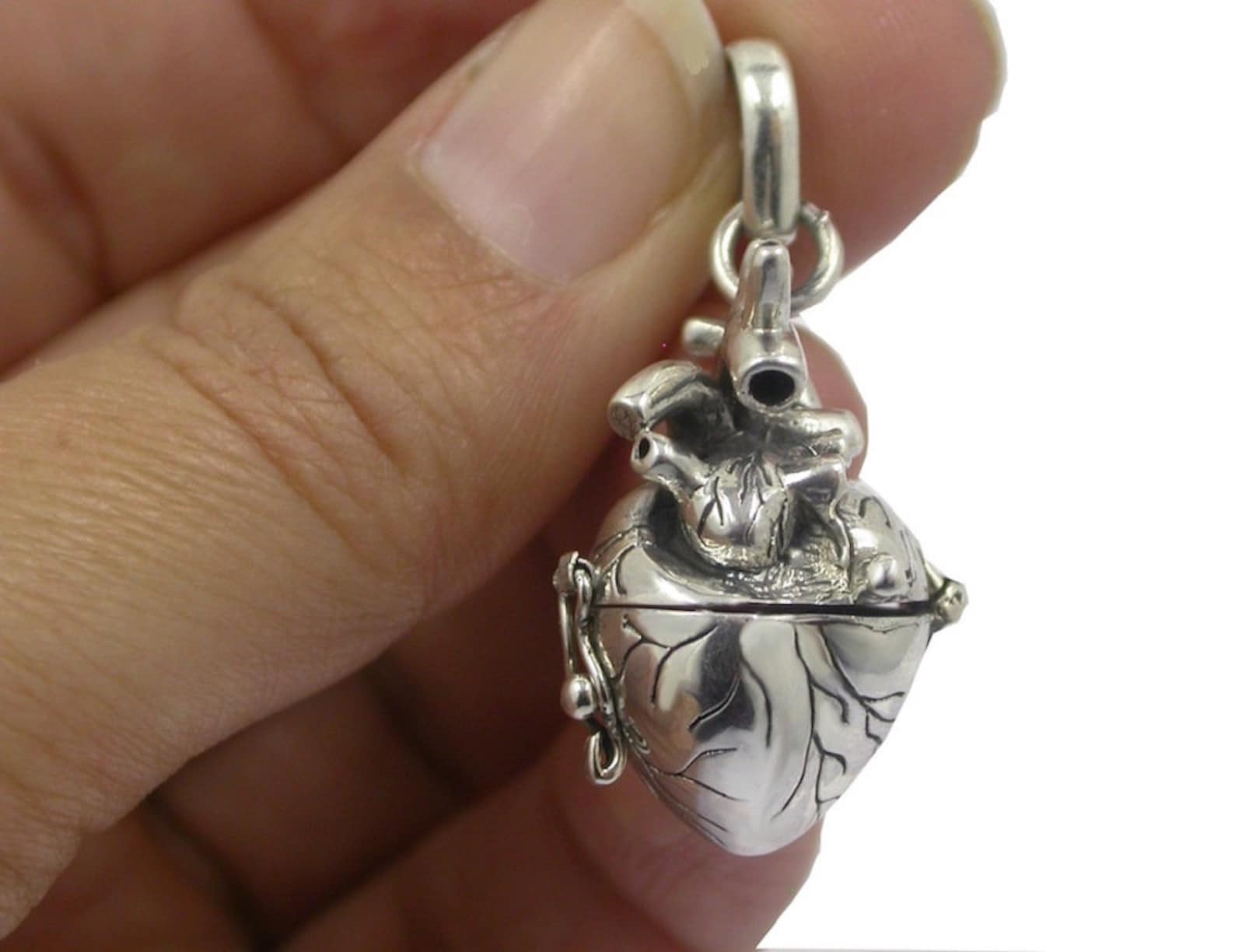 3D Human Heart Locket Necklace: Sterling Silver Anatomical Pill Box for ...