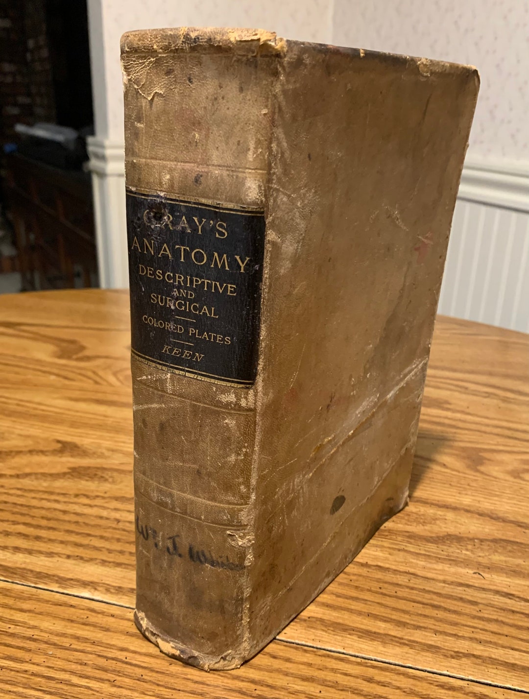 Vintage 1887 Grays Anatomy Book Vintage Medical Reference Book. Vintage ...