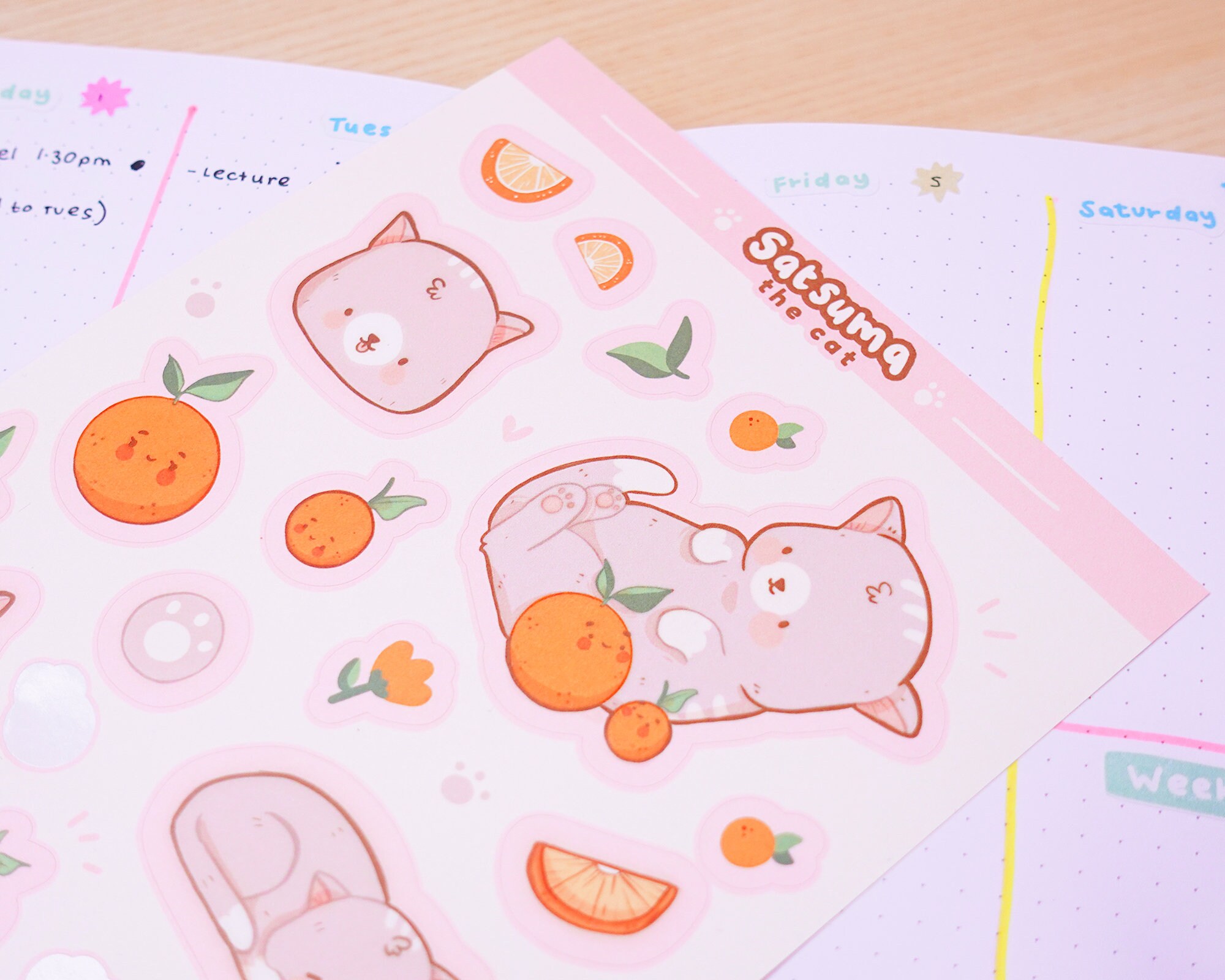Satsuma the Cat Kawaii Waterproof A5 Vinyl Sticker Sheet | Etsy