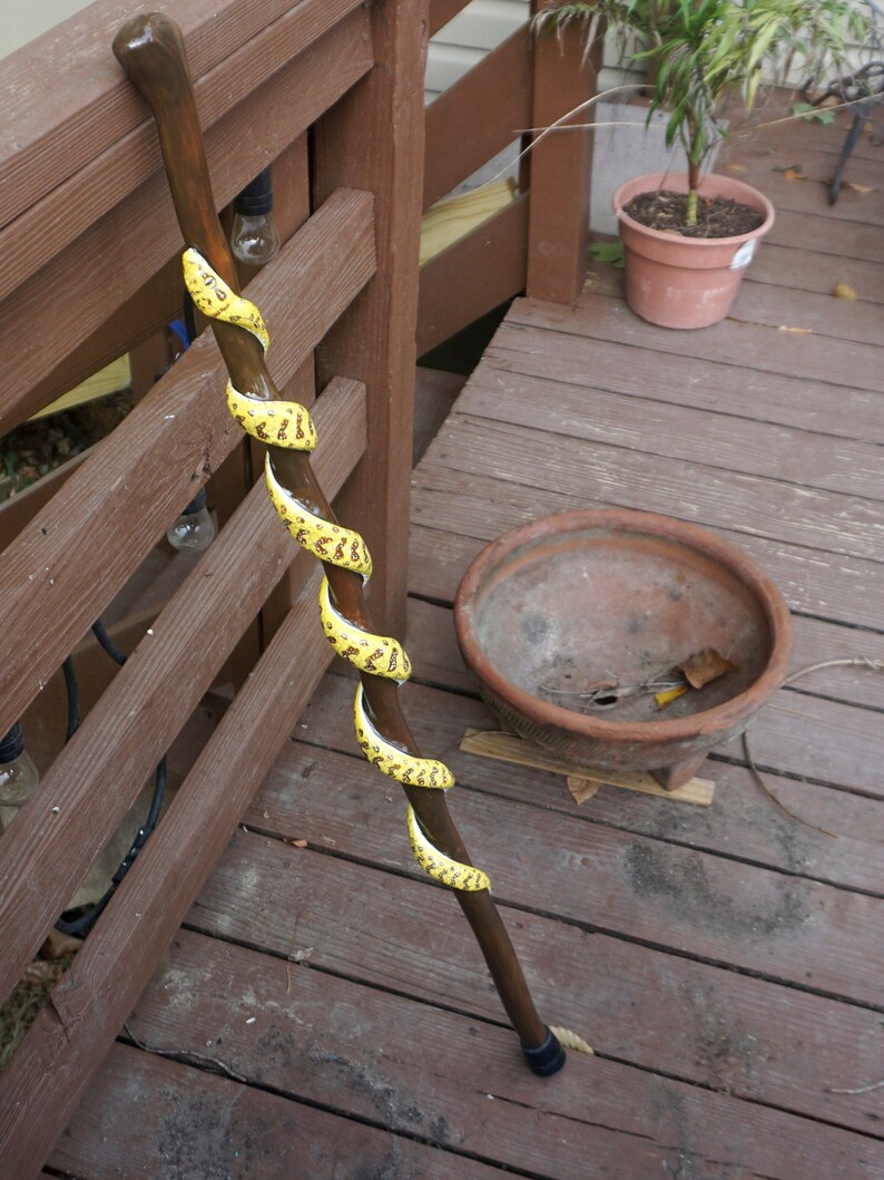 Painted Snake Walking Stick Young Green Tree Python - Etsy