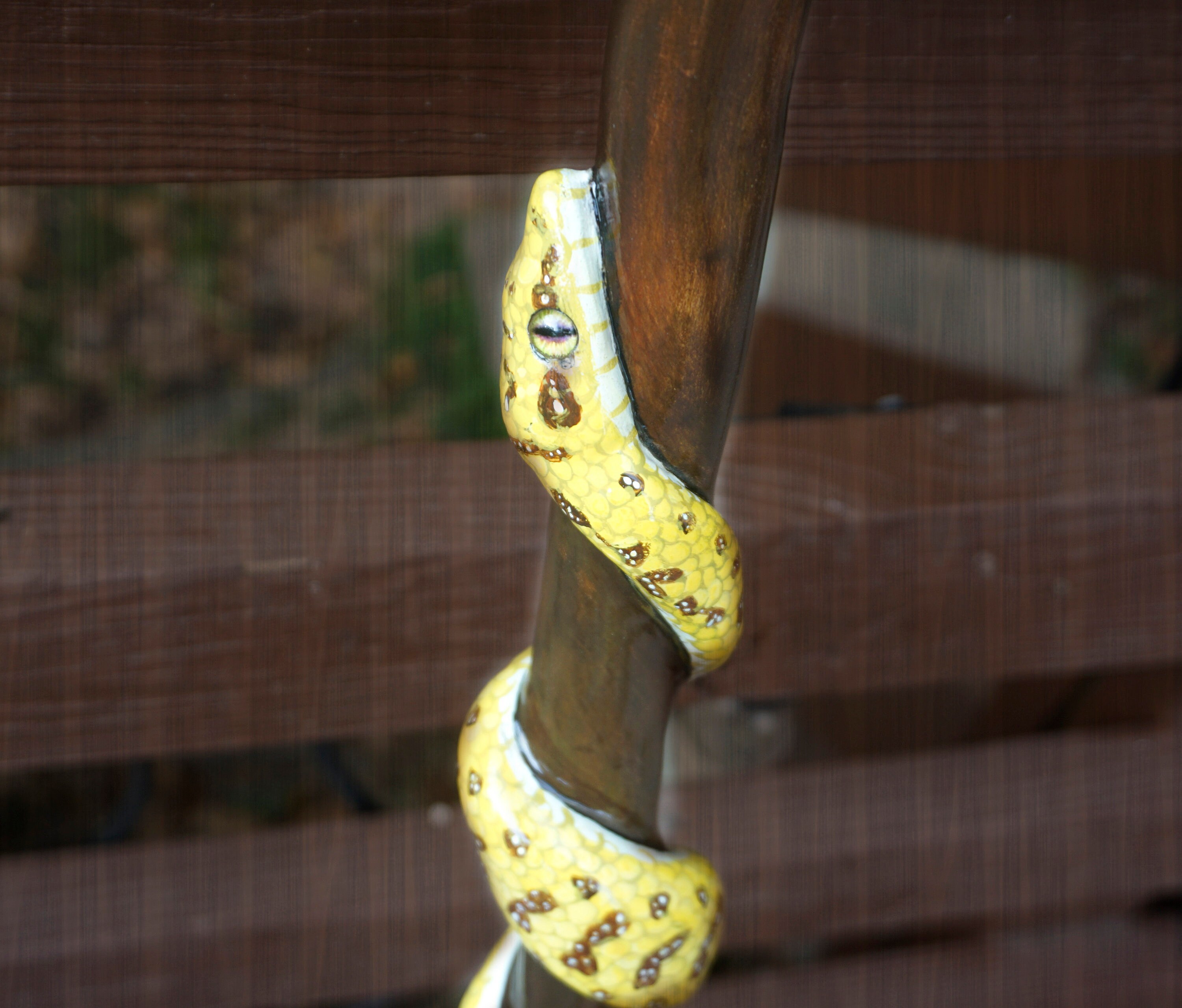 Painted Snake Walking Stick Young Green Tree Python - Etsy Australia