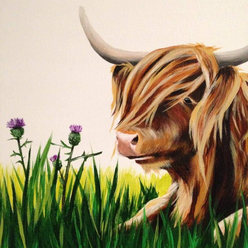 Highland cow with Scottish thistles: 'Maggie Moo' | Etsy