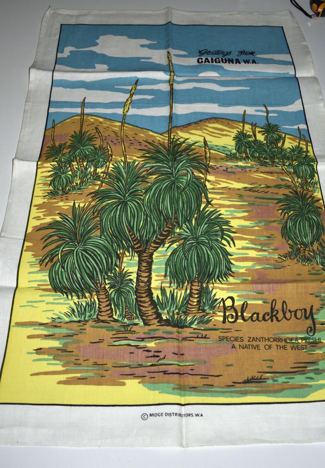Vintage Balga Grass Tree Plants Tea Towel - Indigenous Australia ...
