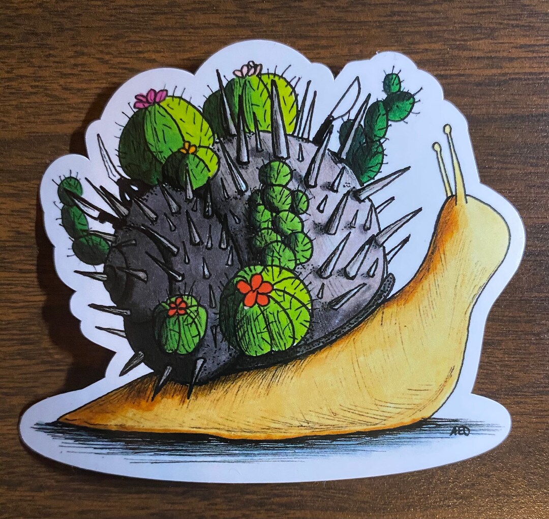 Spiky Cactus Sticker Cool Stickers Computer Stickers Bumper - Etsy.de