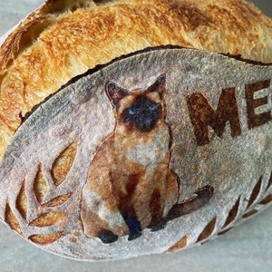 Cats (realistic) - Custom Edible Wafer Paper - Etsy