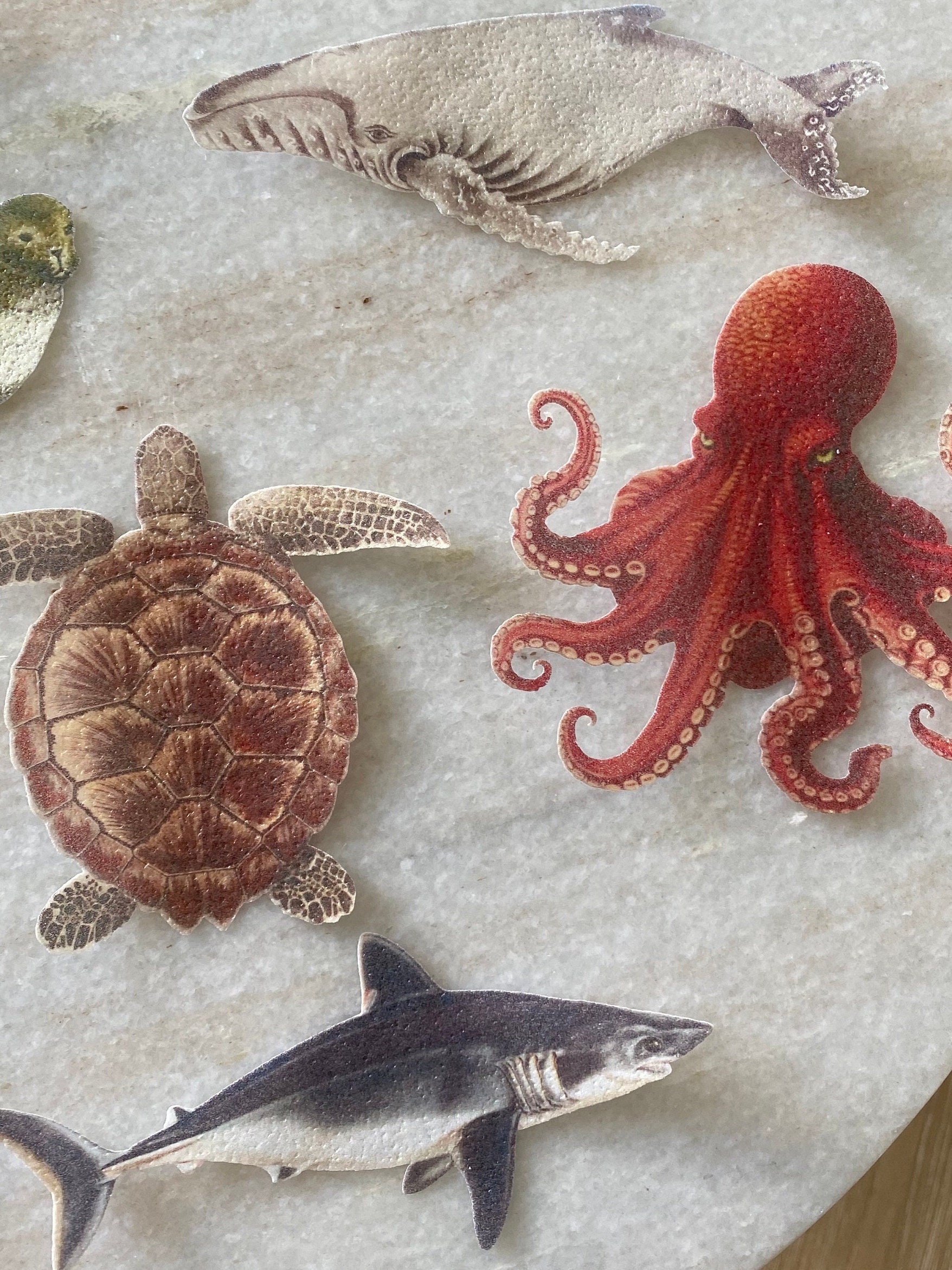 Vintage Ocean Critters - Custom Edible Wafer Paper - Etsy