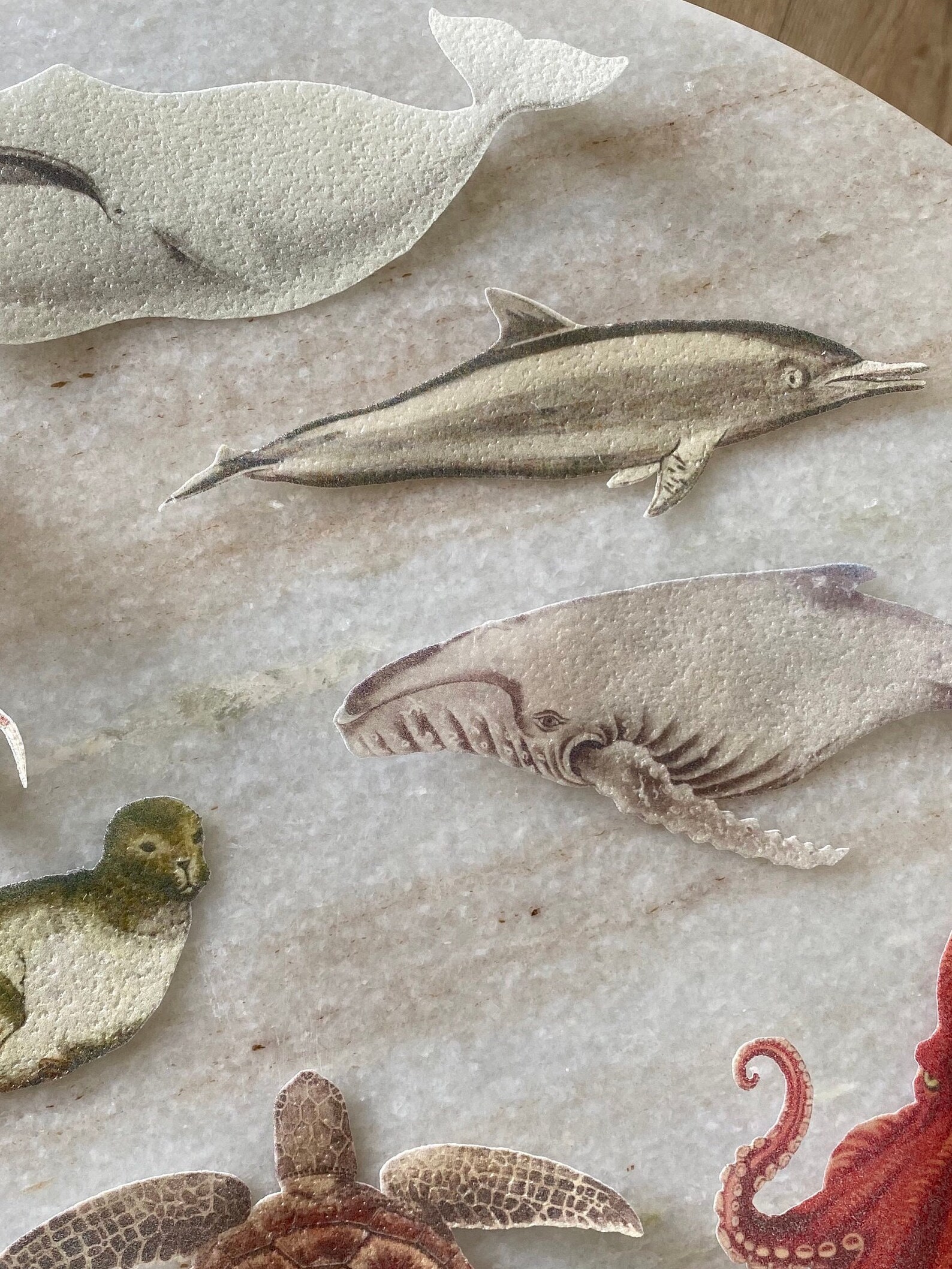 Vintage Ocean Critters - Custom Edible Wafer Paper - Etsy