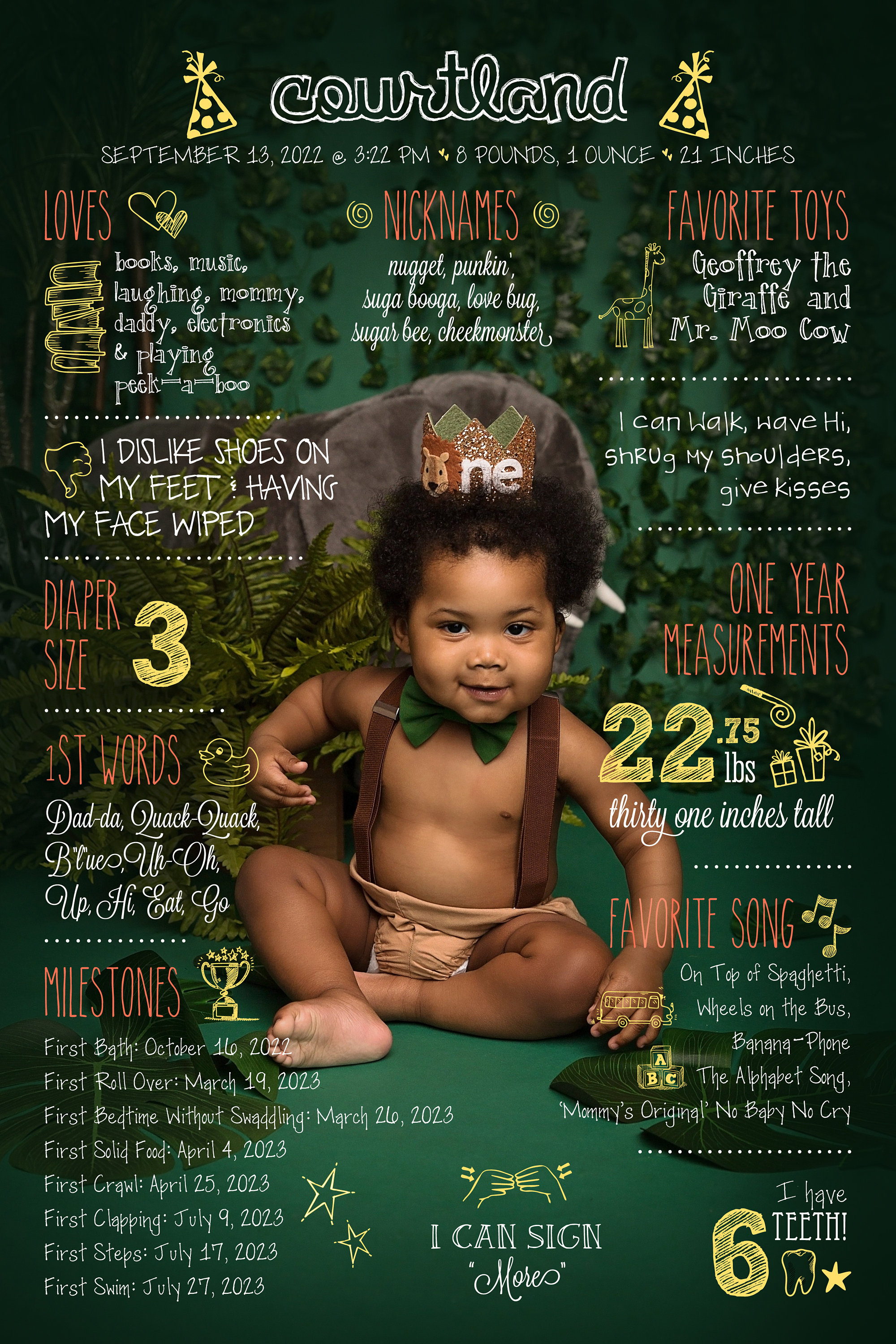 Baby’s First Birthday, Fun Fact, Baby Infographic, Poster, Wall Decor ...