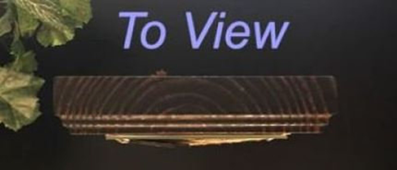 Bonus Dad Picture Frame Stepdad Photo Frame Gift for Bonus - Etsy