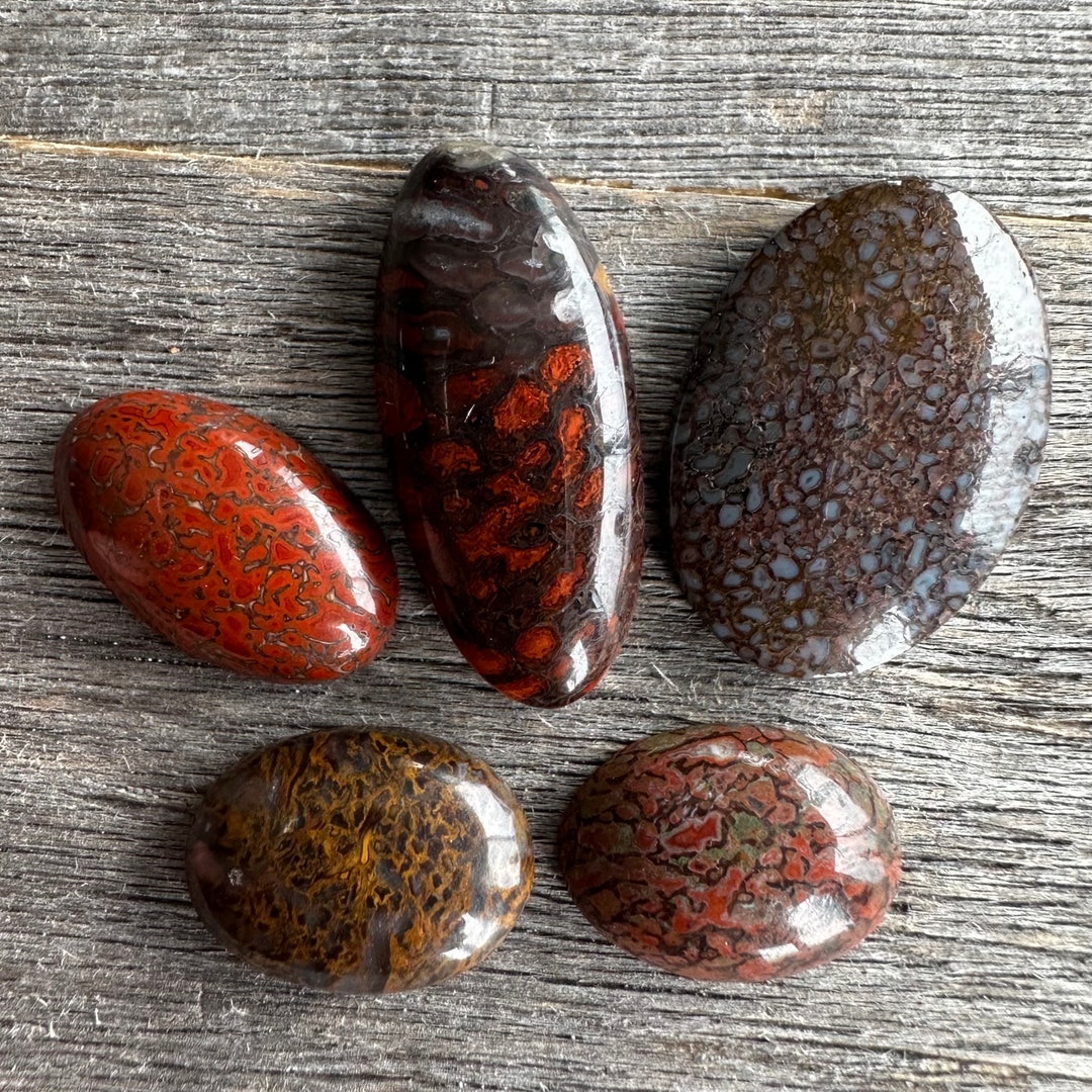 Loose Stones (choose One): Agatized Dinosaur Bone (custom Settings Also ...
