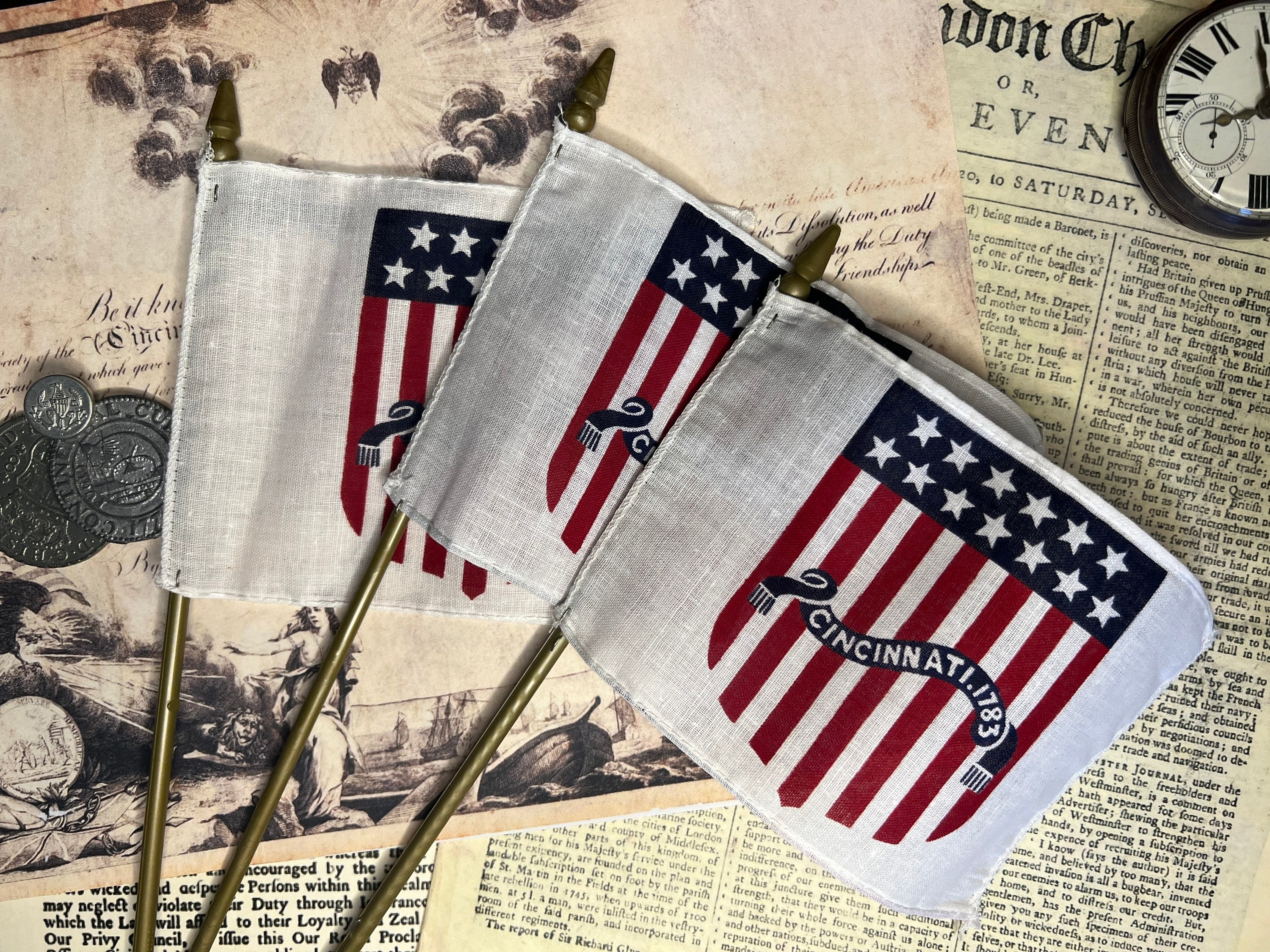 Society of the Cincinnati Flag - Vintage Historical Stick Flag ...