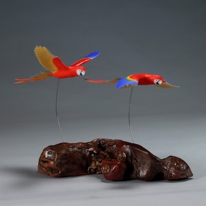 Macaw Parrot DUO Sculpture by John Perry Scarlet 7in Long on Burlwood ...