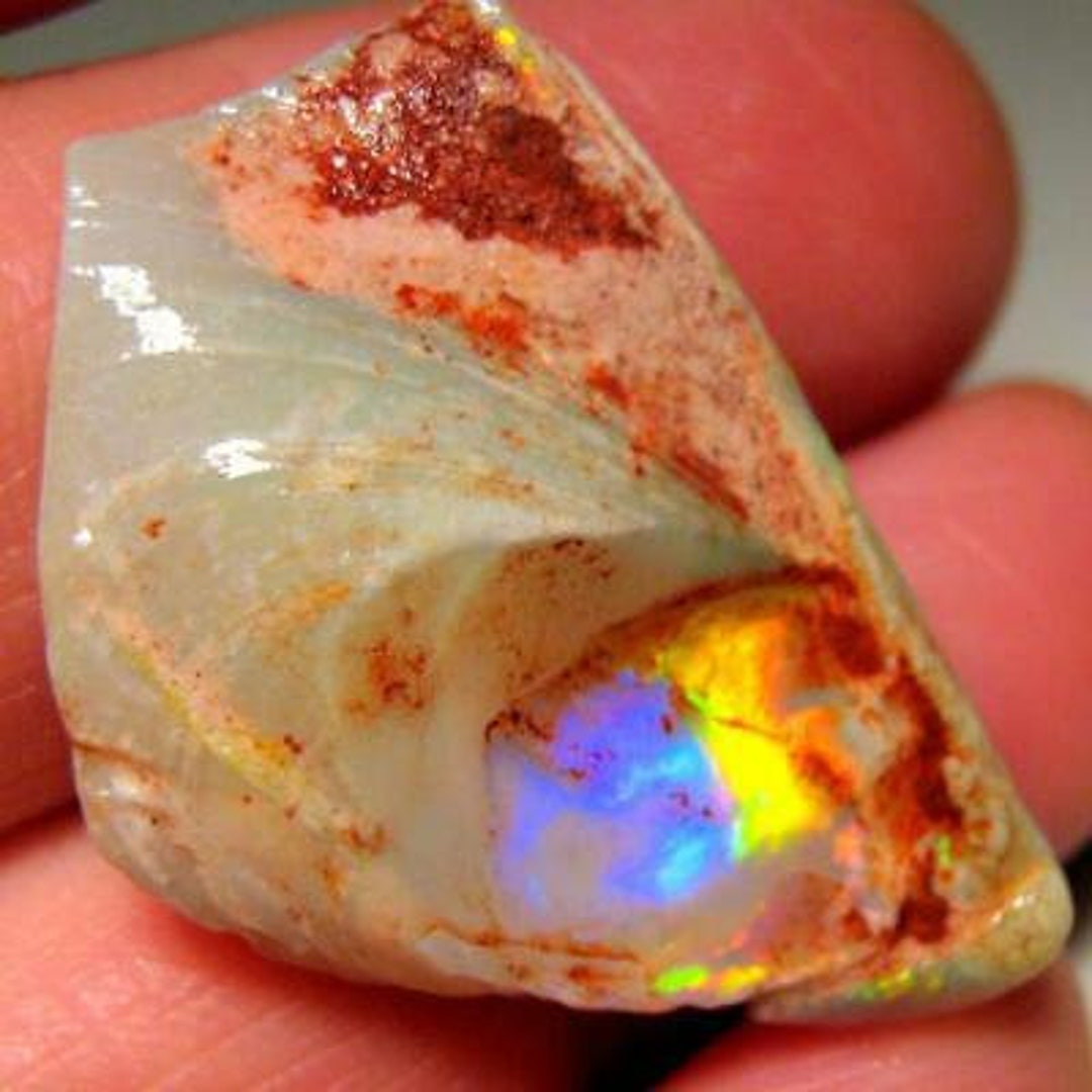 Rare Fossil Australian Gem Rough Opal Bivalve Aquarium - Etsy