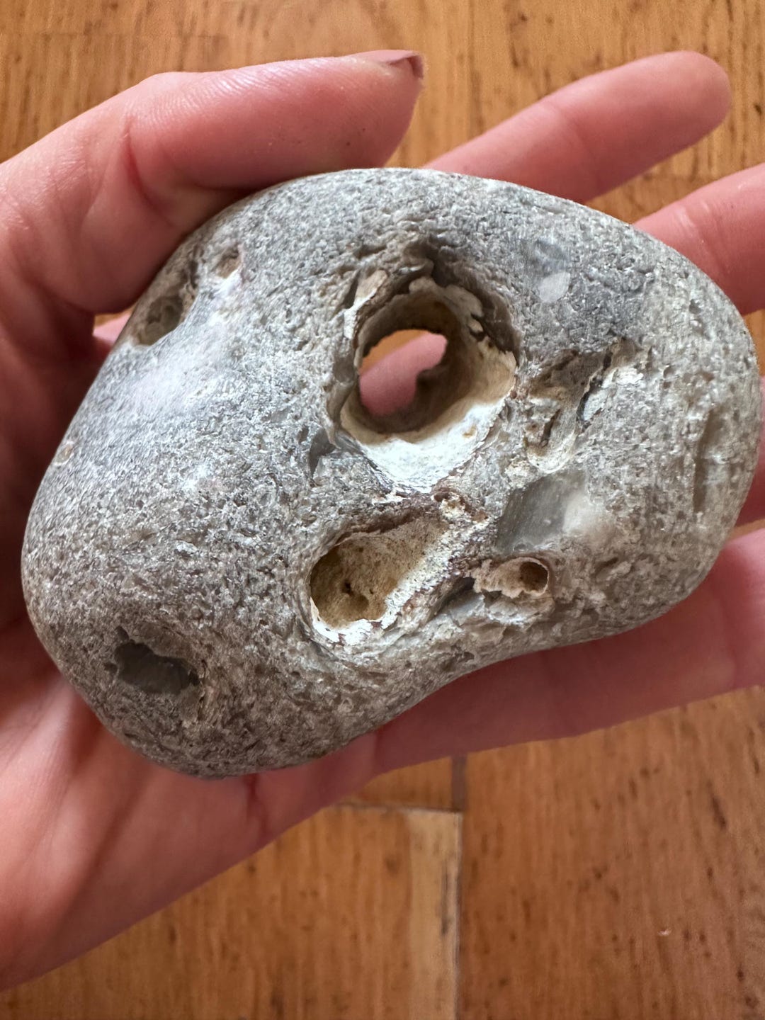 Large Palm Sized Hagstone - Etsy