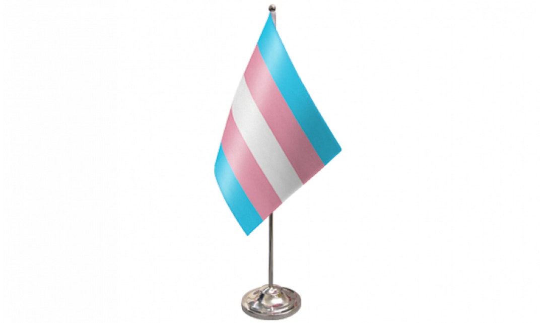 Transgender LGBTQ Gay Pride 9'' X 6'' Satin Printed Table Desk Flag - Etsy