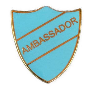 School Ambassador School / College Light Blue Enamel Lapel Pin Badge - Etsy