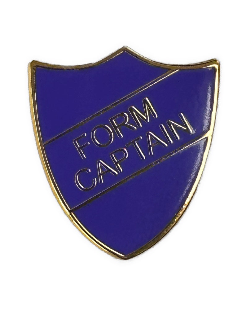 School Form Captain School / College Violet Enamel Lapel Pin Badge - Etsy