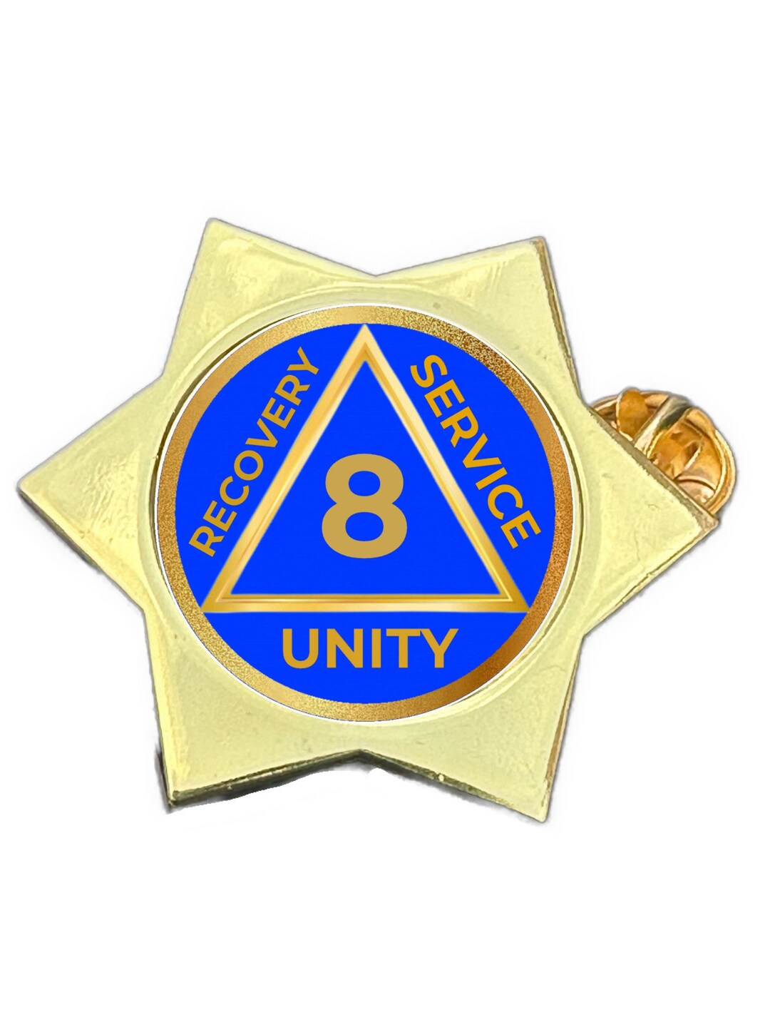 8 Years Sober Alcoholics Anonymous Gold Star Lapel Pin Badge - Etsy