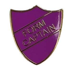 School Form Captain School / College Purple Enamel Lapel Pin Badge - Etsy
