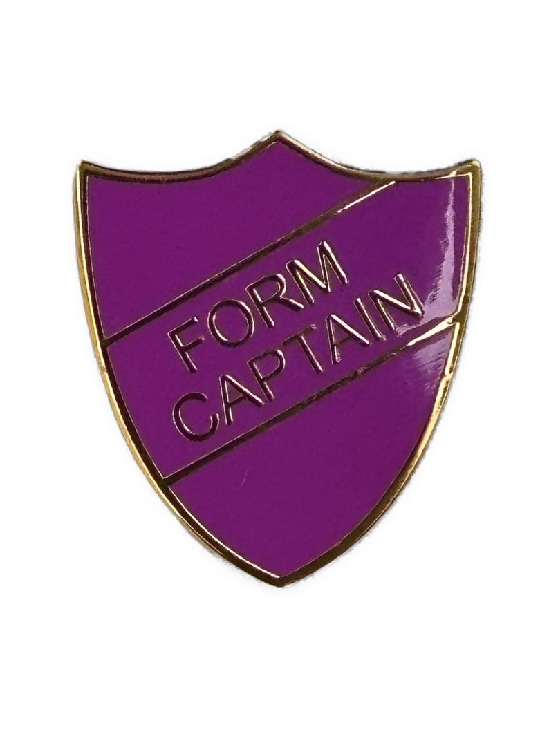 School Form Captain School / College Purple Enamel Lapel Pin Badge - Etsy