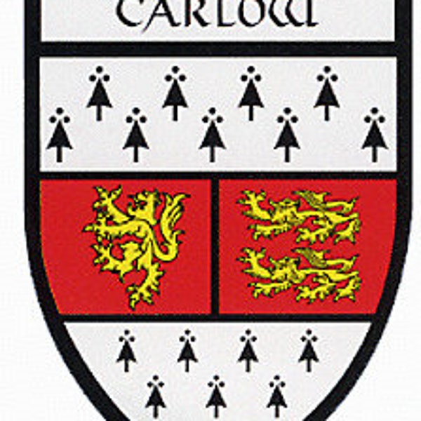 Irish Coat of Arms Patch - Etsy