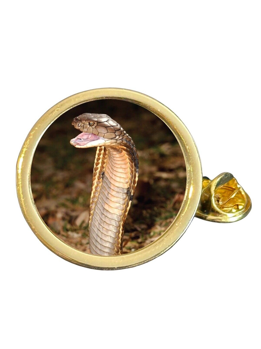 King Cobra Snake Award Gold Plated Domed Lapel Pin Badge in Bag - Etsy