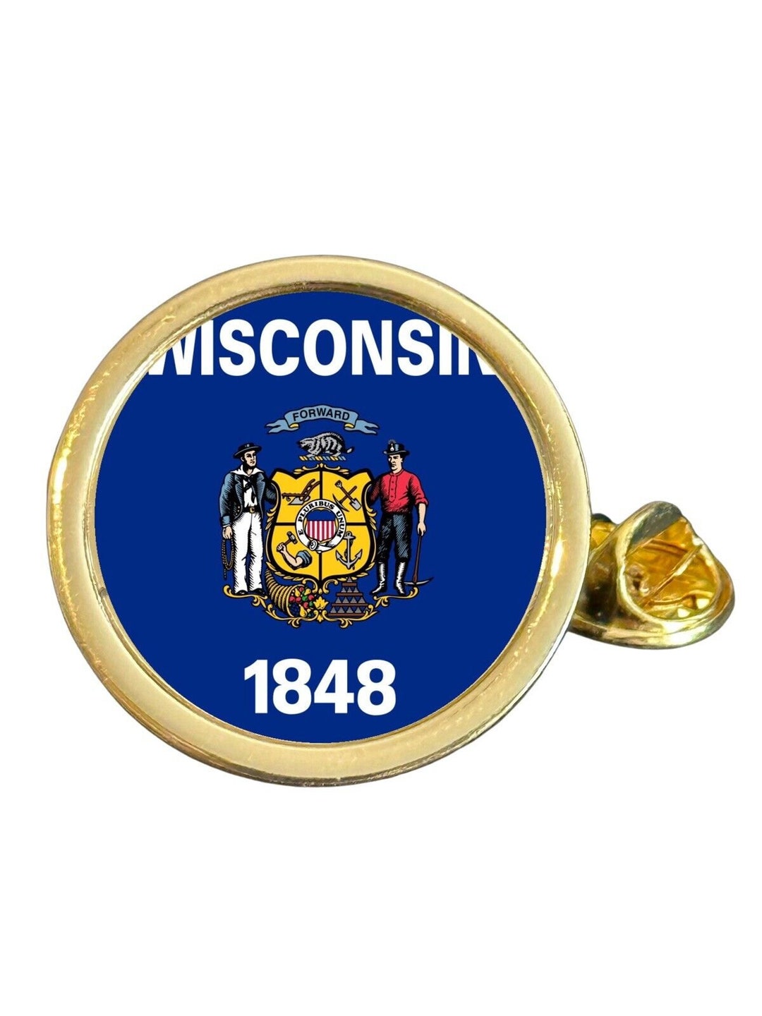State of Wisconsin Part Flag USA Gold Plated Domed Lapel Pin Badge in ...