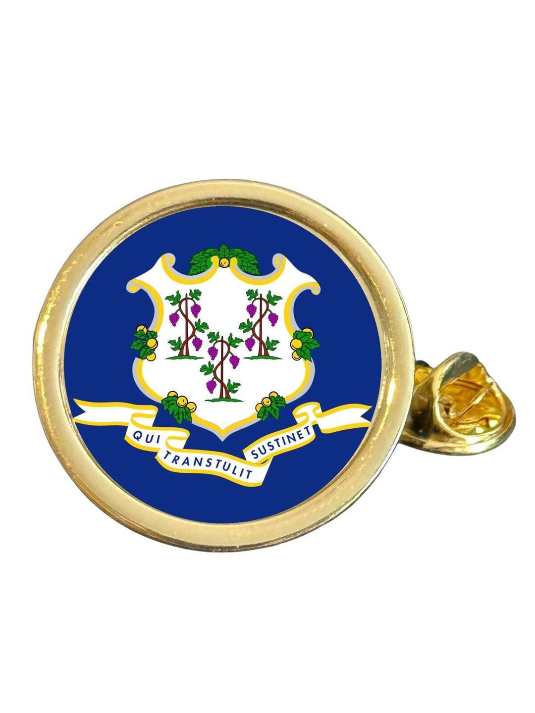 State of Connecticut Part Flag USA Gold Plated Domed Lapel Pin Badge in ...
