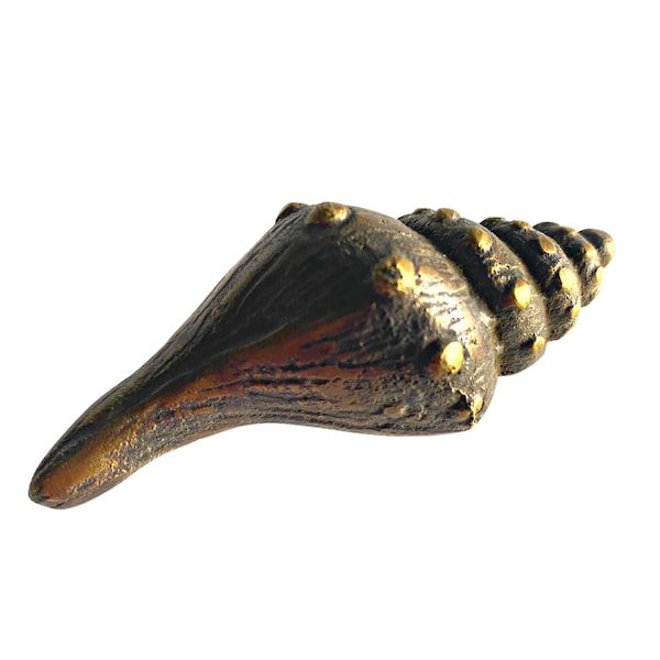 Seashell Knobs - Etsy