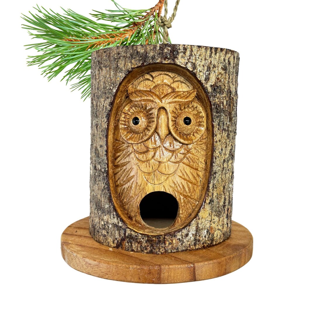 Owl Spirit Bird House Rustic Hand Carved Wood Carving Log Bird House ...